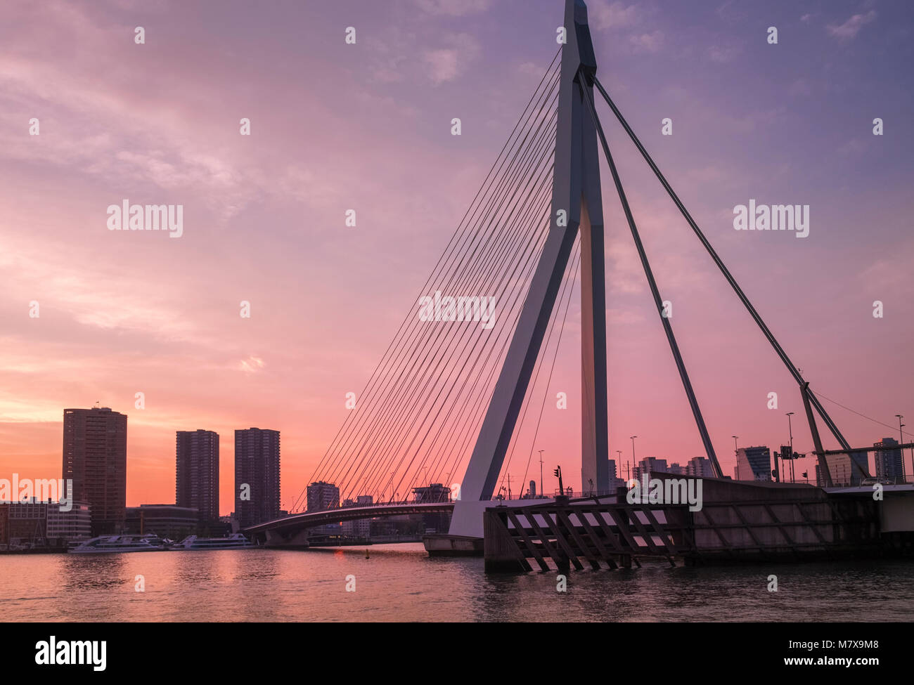 Erasmusbrug (Erasmus Bridge) at sunset, Rotterdam, The Netherlands ...