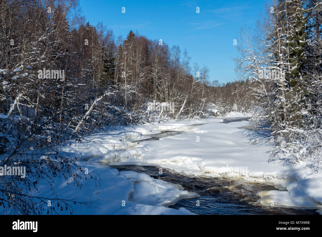 Little stream with snowy forest on both sides and a blue sky in ...