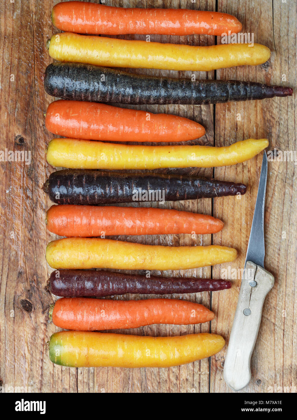 Colorful vegetables. Organic colored yellow, red, orange and purple ...