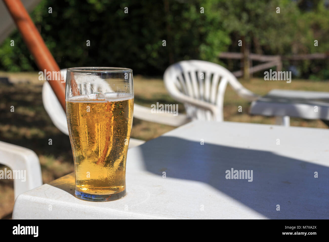 Cold Pint Of Beer Stock Photo - Alamy