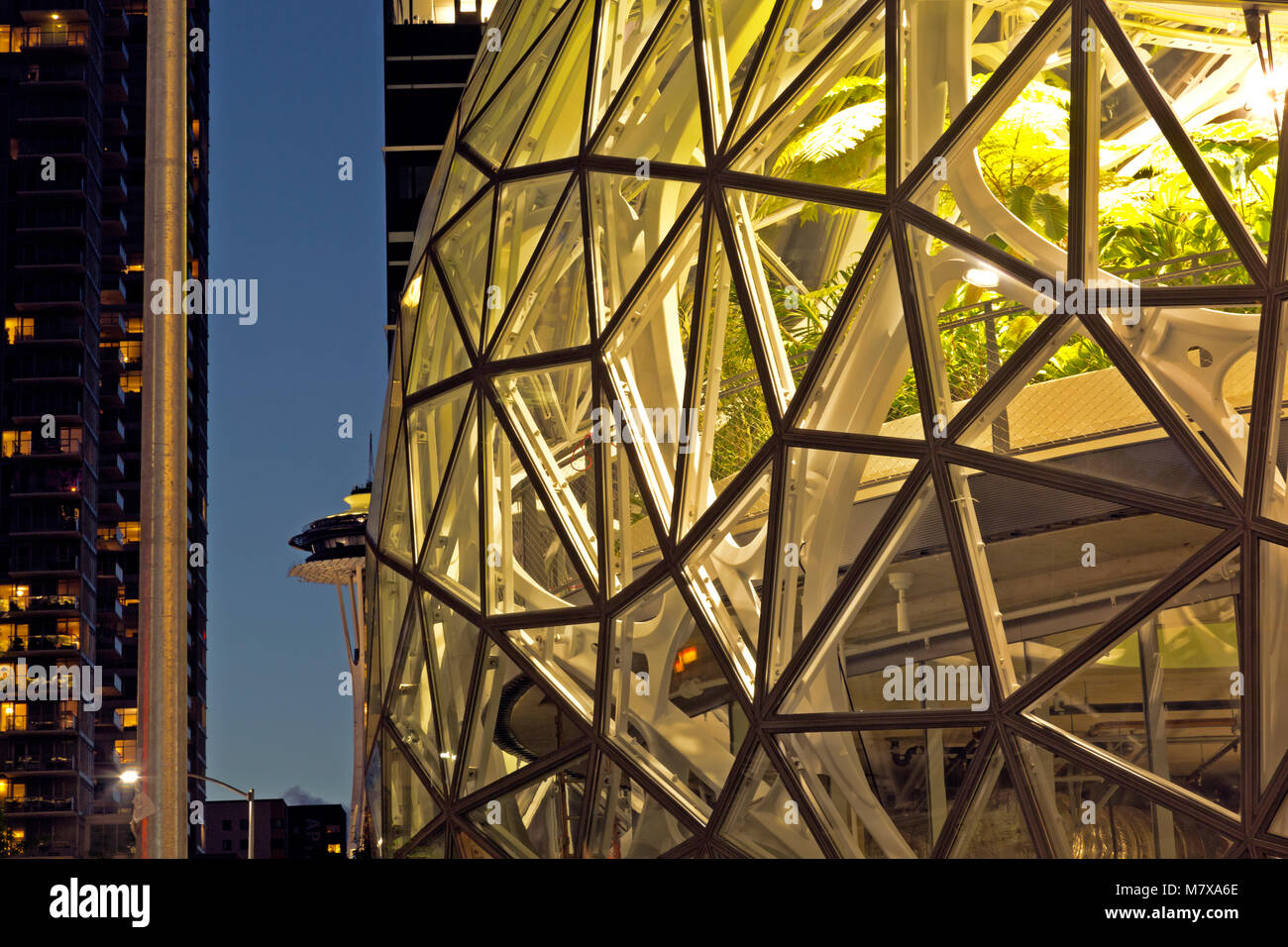 WA13872-00...WASHINGTON - One of the Amazon Biospheres full of exotic ...