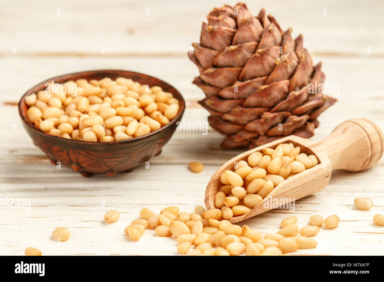 Cedar (Pine) nuts and cones on white wooden table. Selective focus ...