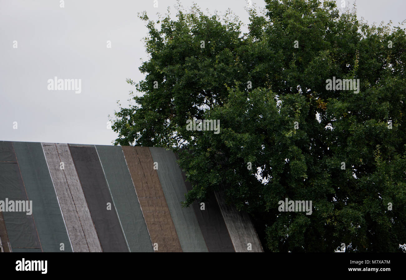 Tree growth through roof hi-res stock photography and images - Alamy