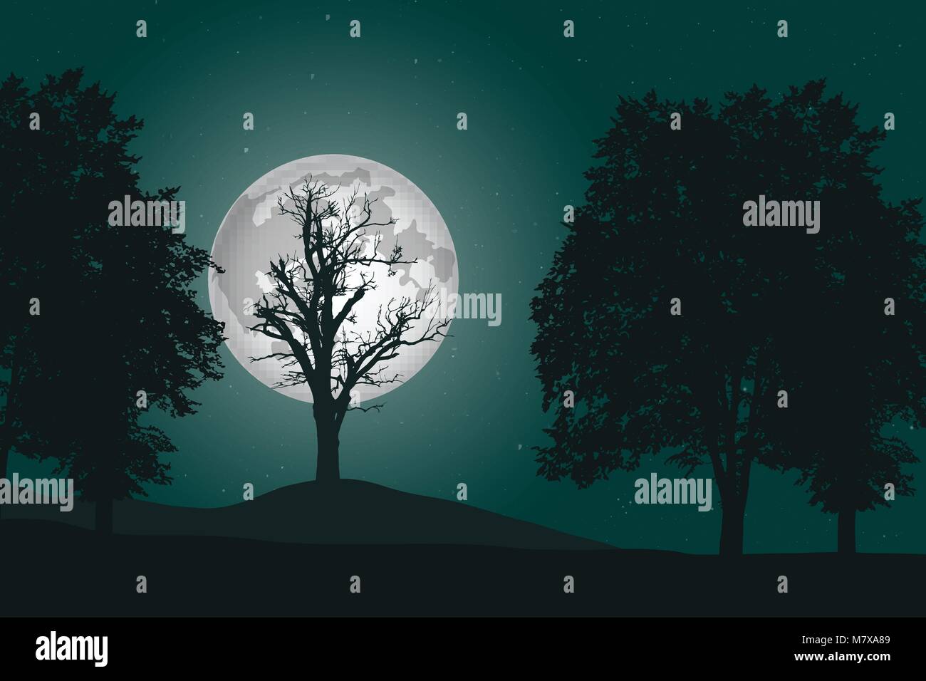 vector illustration of a deep deciduous forest under a night sky with ...