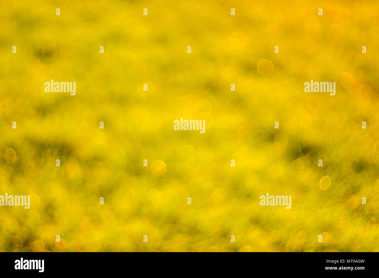Blurry texture hi-res stock photography and images - Alamy