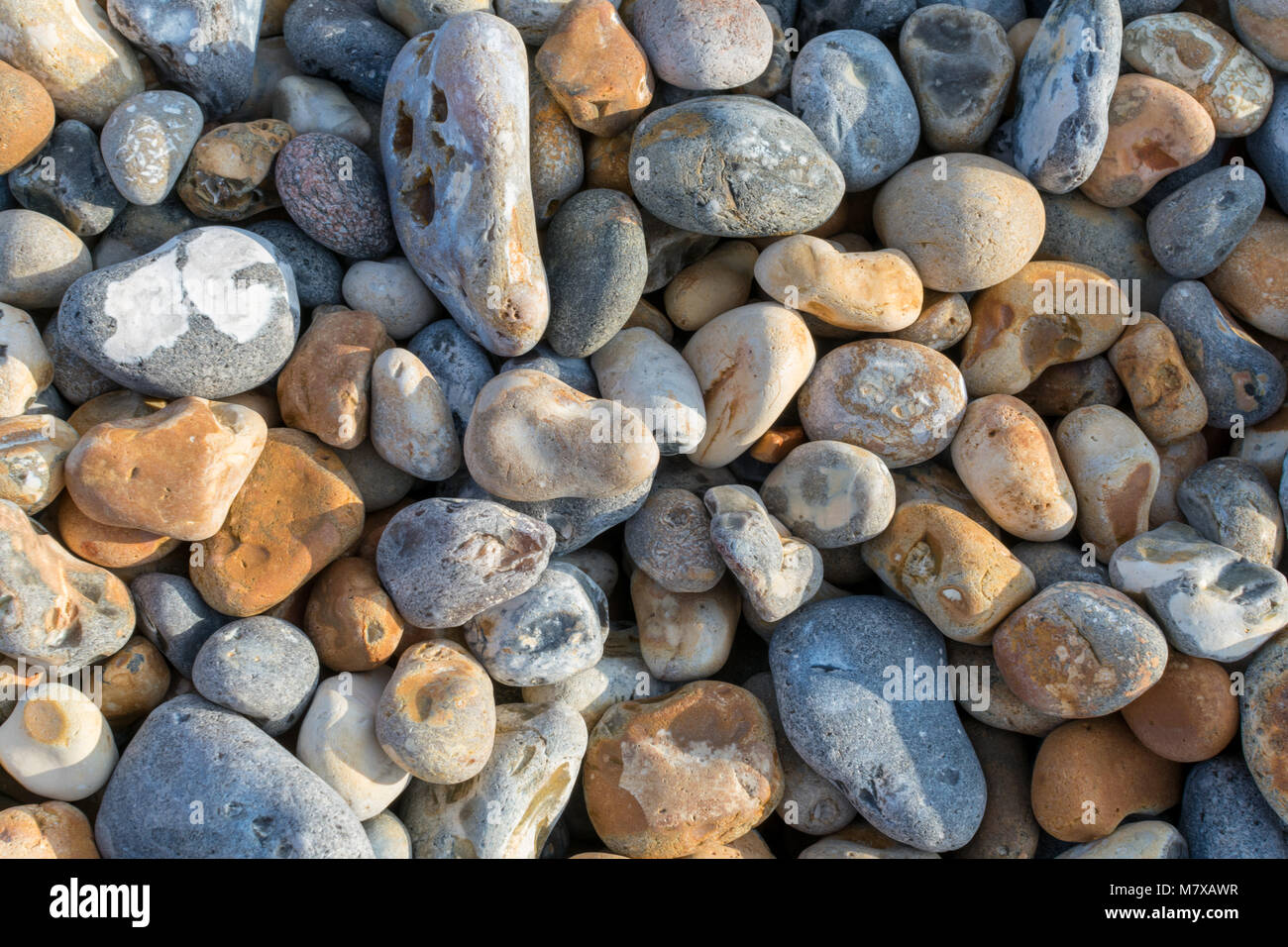 Close-up of shingle on the beach at Bexhill-on-Sea with a mix of grey ...
