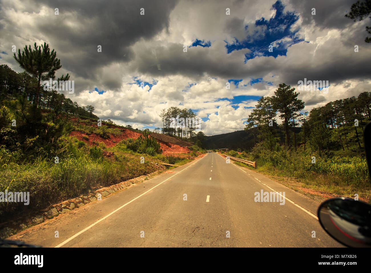 hilly rural country scape with warm-houses and high trees out of bus ...