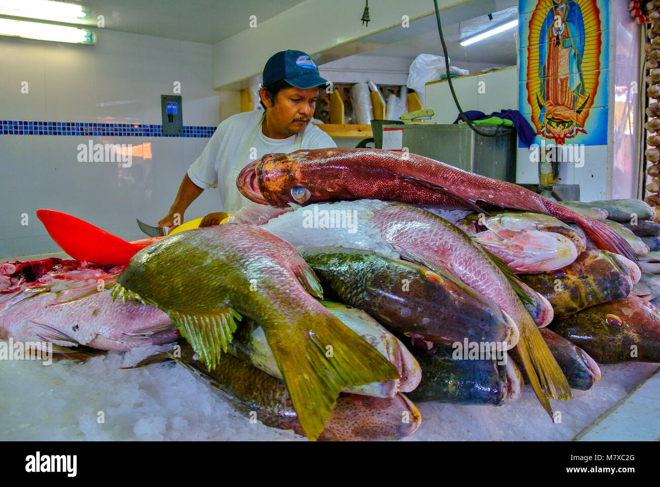 Puerto Vallarta, Jalisco, Mexico, A mexican man preparing fish at ...