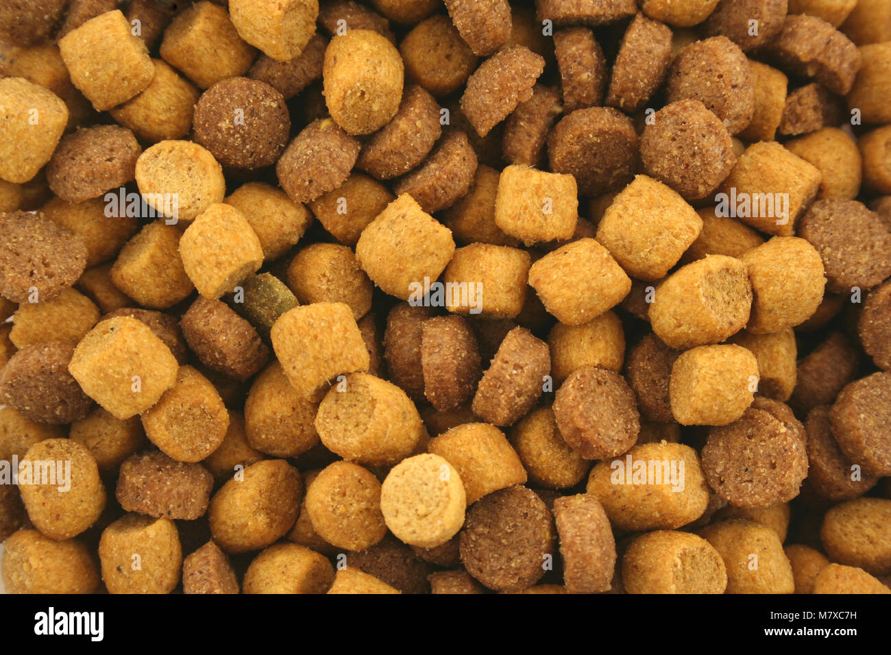 Dry Cat food background texture Stock Photo - Alamy