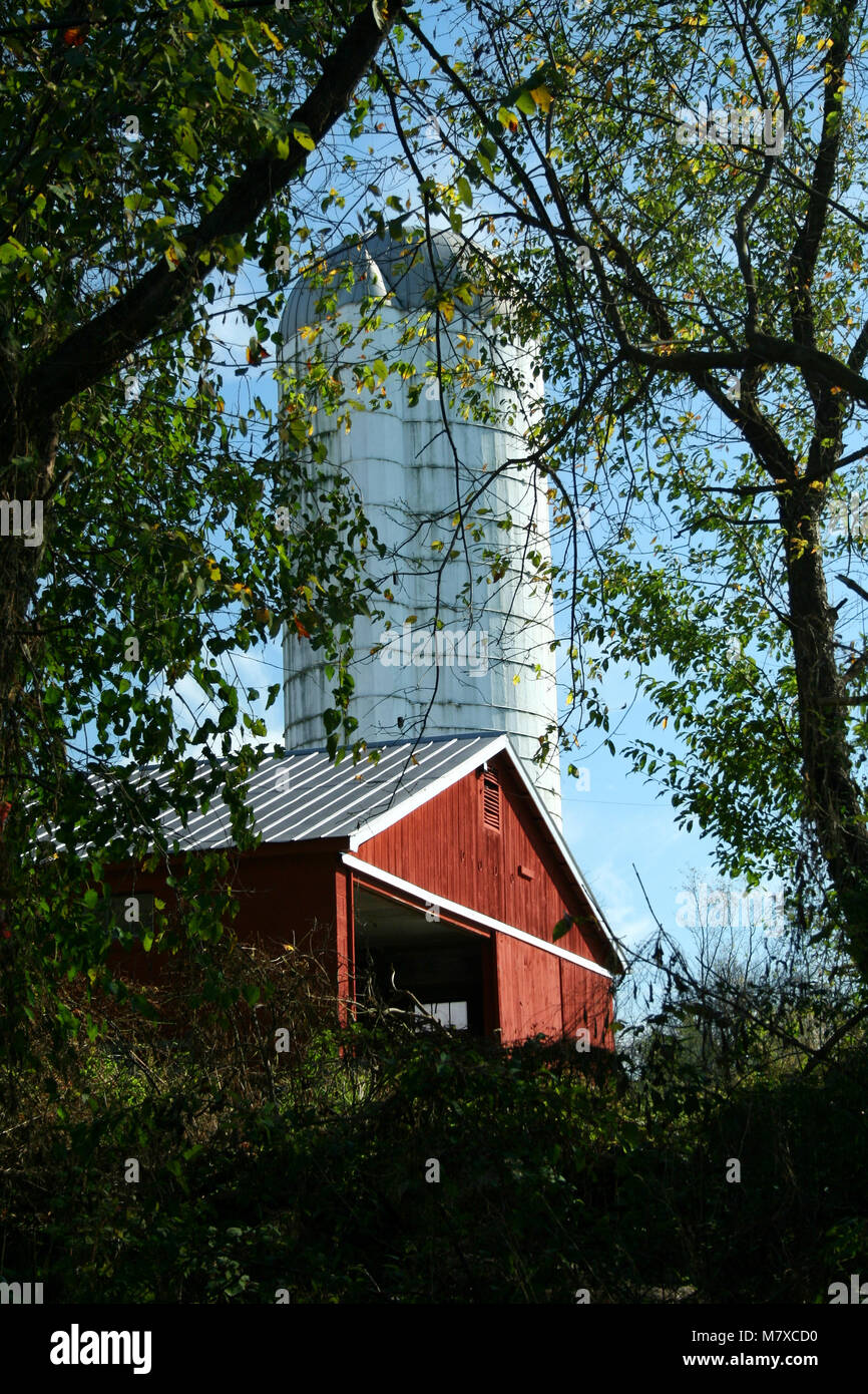 A Red Barn and silo through trees Stock Photo - Alamy