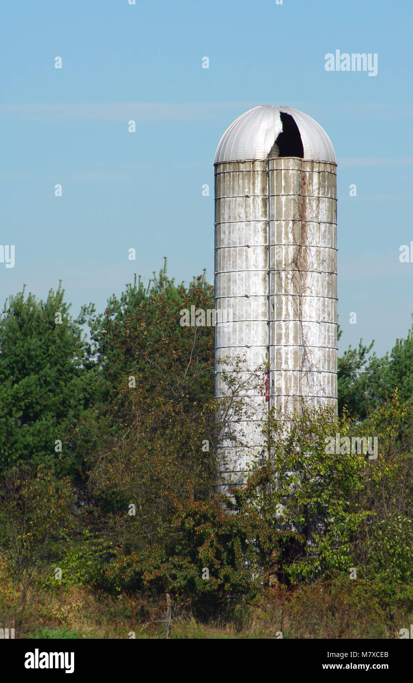 An old silo with trees against blue sky Stock Photo - Alamy