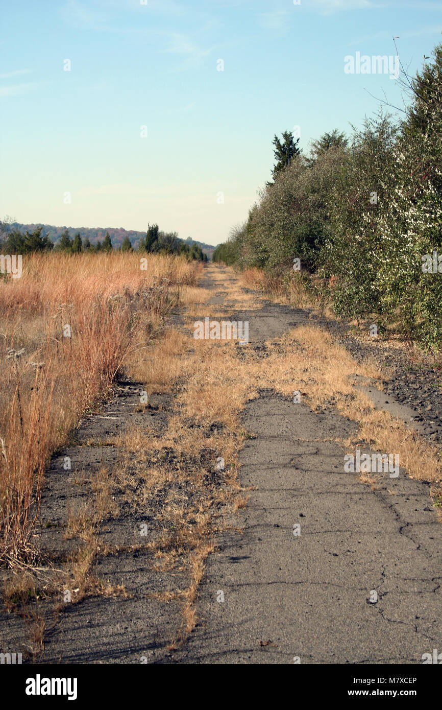 An old Abandoned Road with trees Stock Photo - Alamy