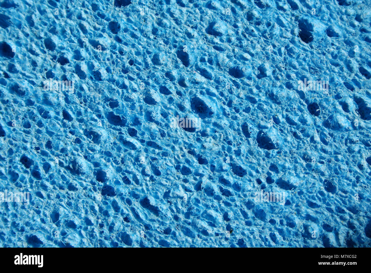 A close up Blue Sponge abstract background Stock Photo - Alamy