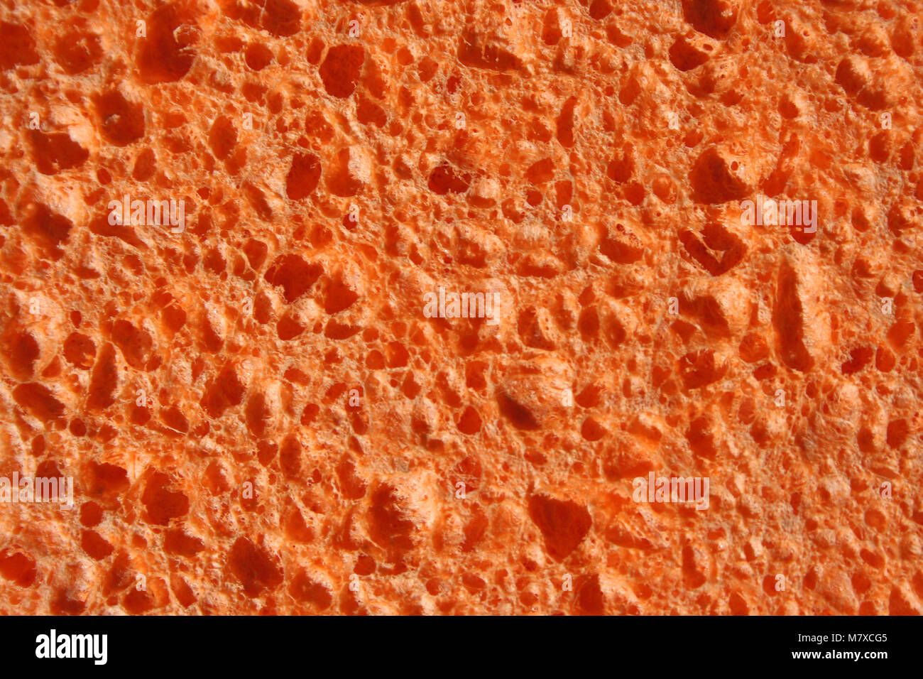 A close up Orange Sponge abstract background Stock Photo - Alamy