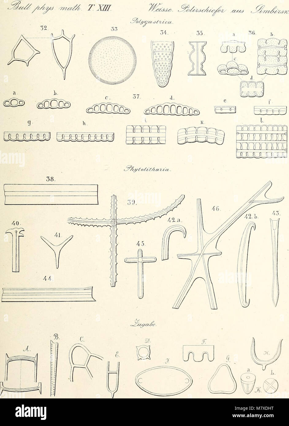 The 1854 Bulletin of the Physical and Mathematical Class of the ...