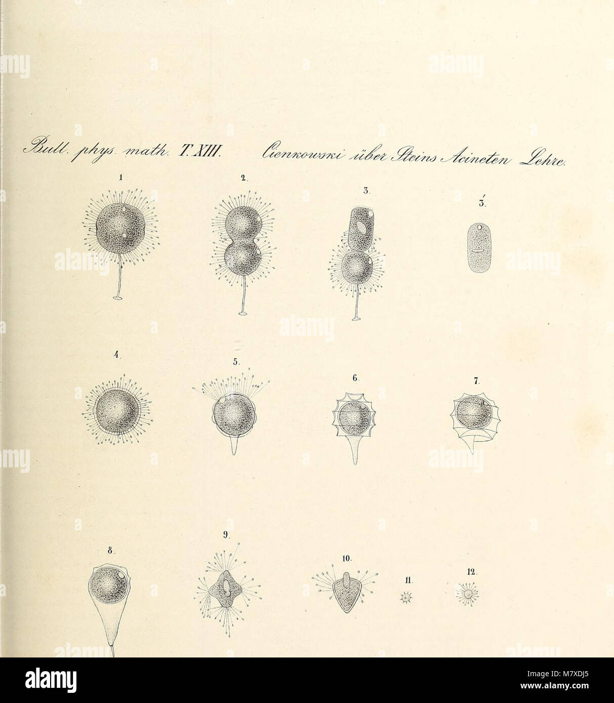 This 1854 bulletin from the Physical and Mathematical Class of the ...