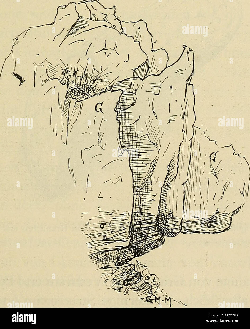 This scientific bulletin, published from 1892 to 1911 in Bucharest ...