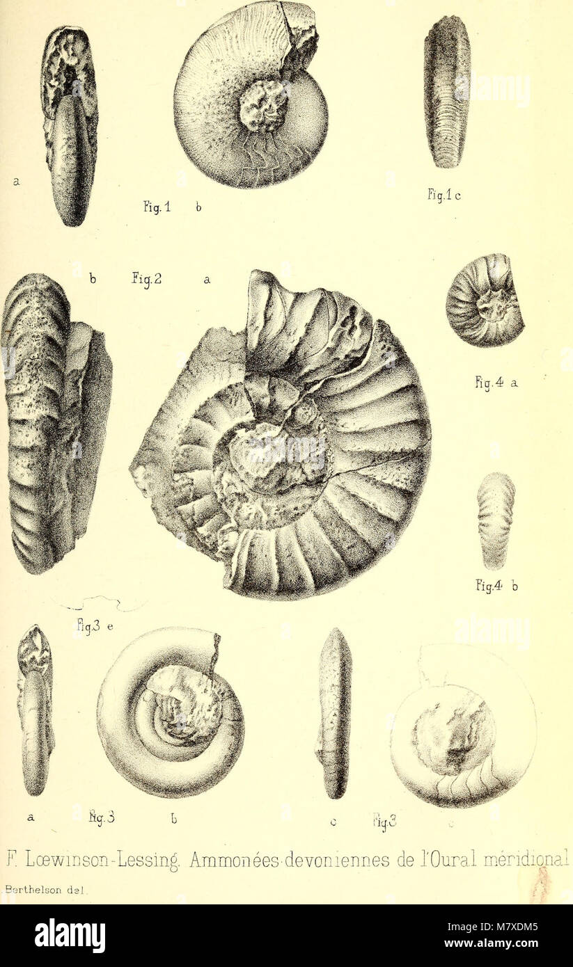 The 1892 bulletin from the Belgian Society of Geology, Paleontology ...