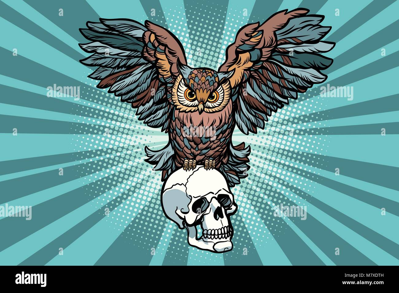 Owl and human skull Stock Vector Image & Art - Alamy