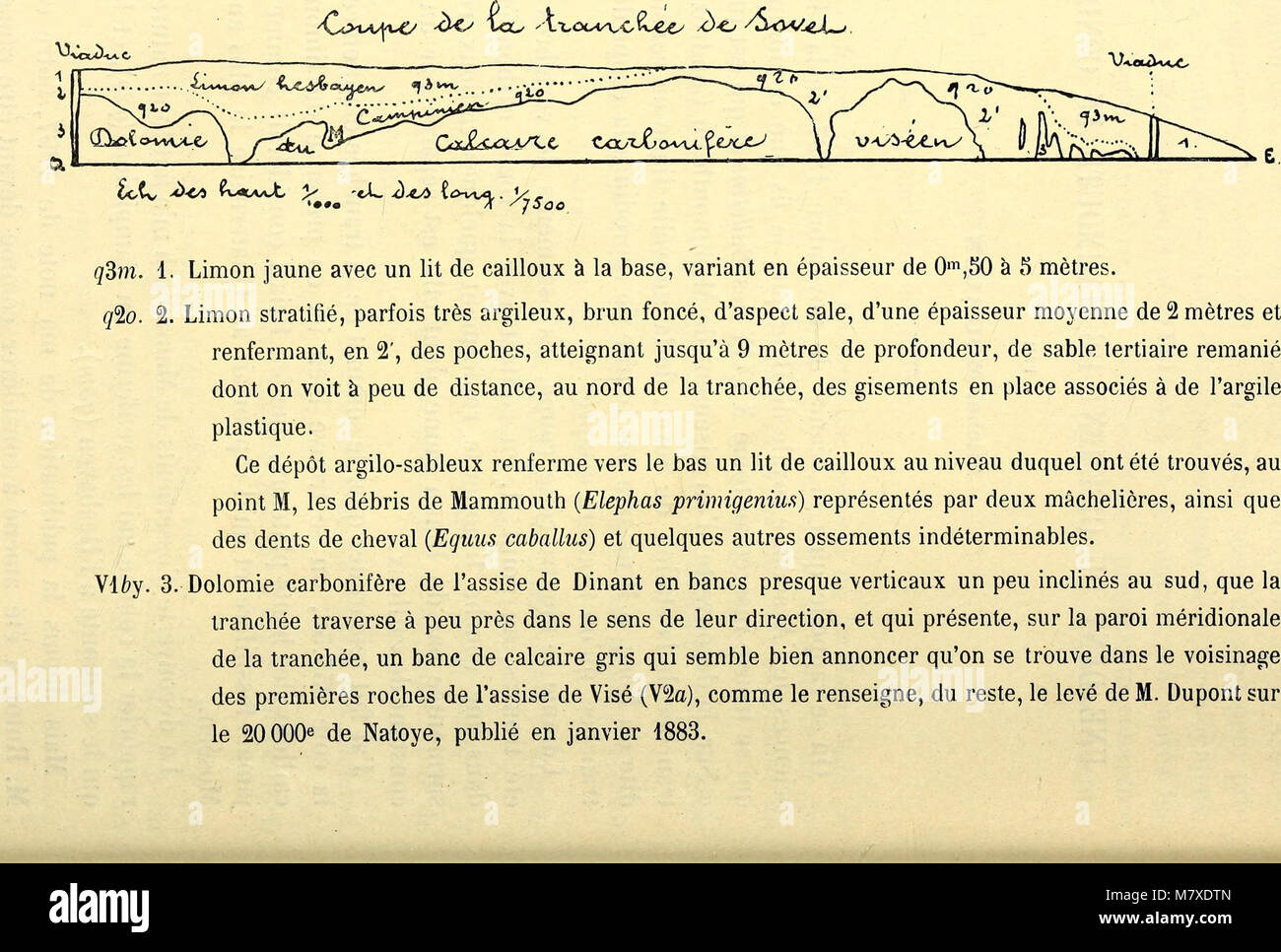 The 1900 Bulletin of the Belgian Society of Geology, Paleontology, and ...
