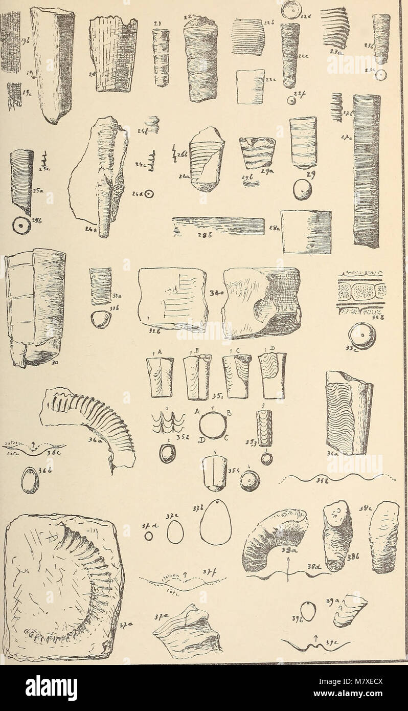 Bulletin de la Société des sciences naturelles de l'Ouest de la France ...