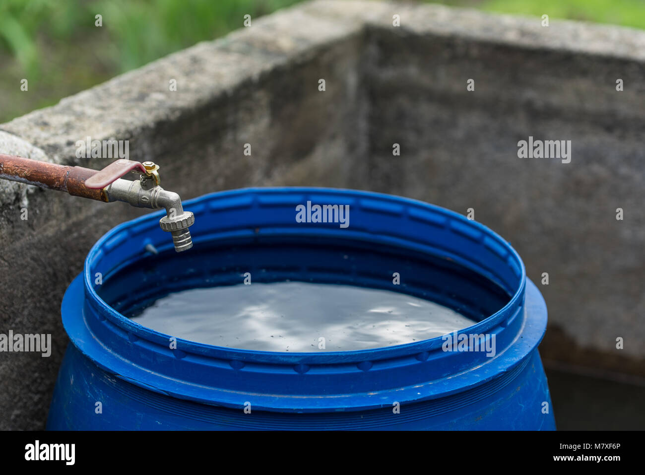 Blue plastic water barrel with rainwater standing near concrete wall ...