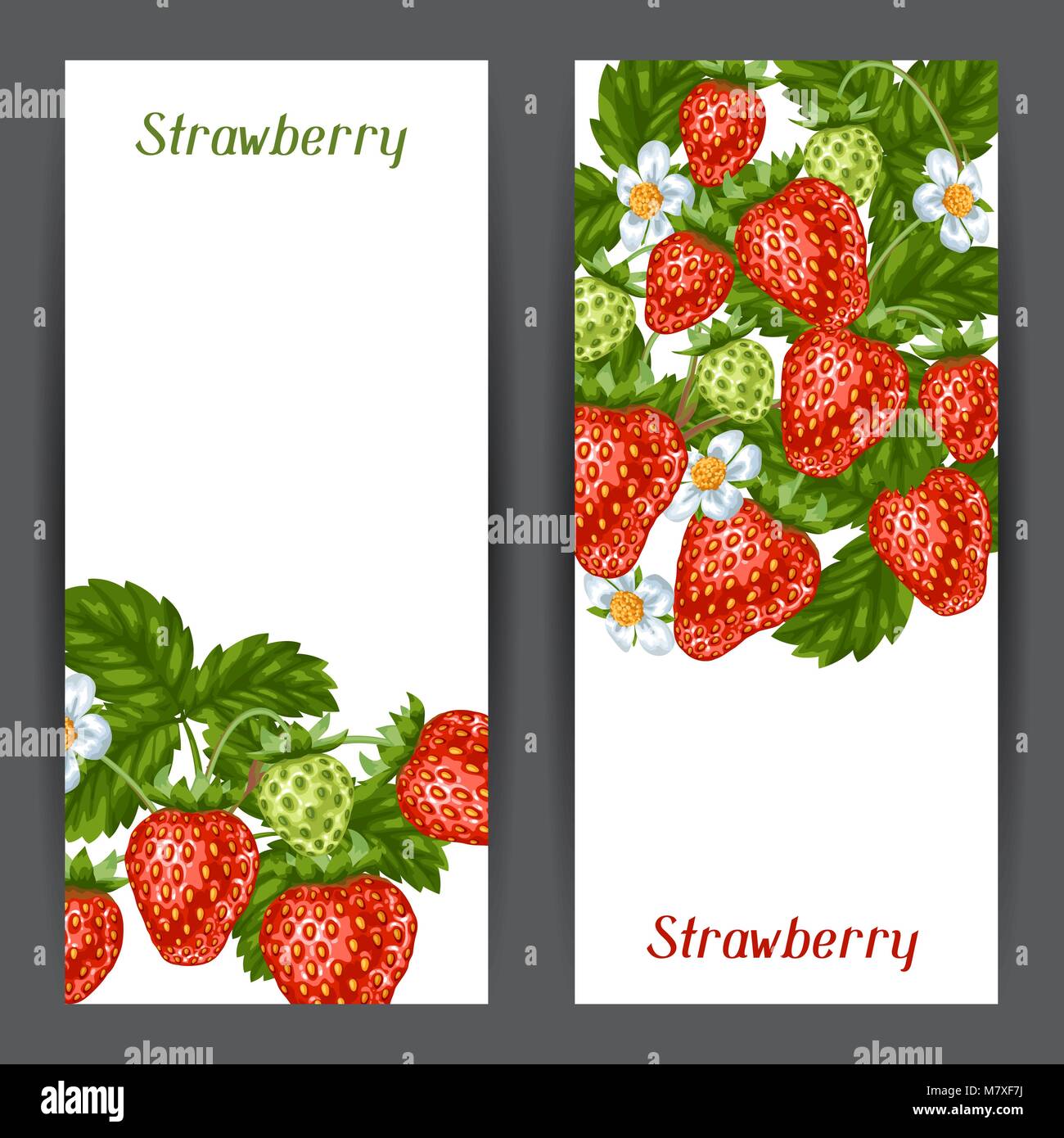Banners with red strawberries. Illustration of berries and leaves Stock ...