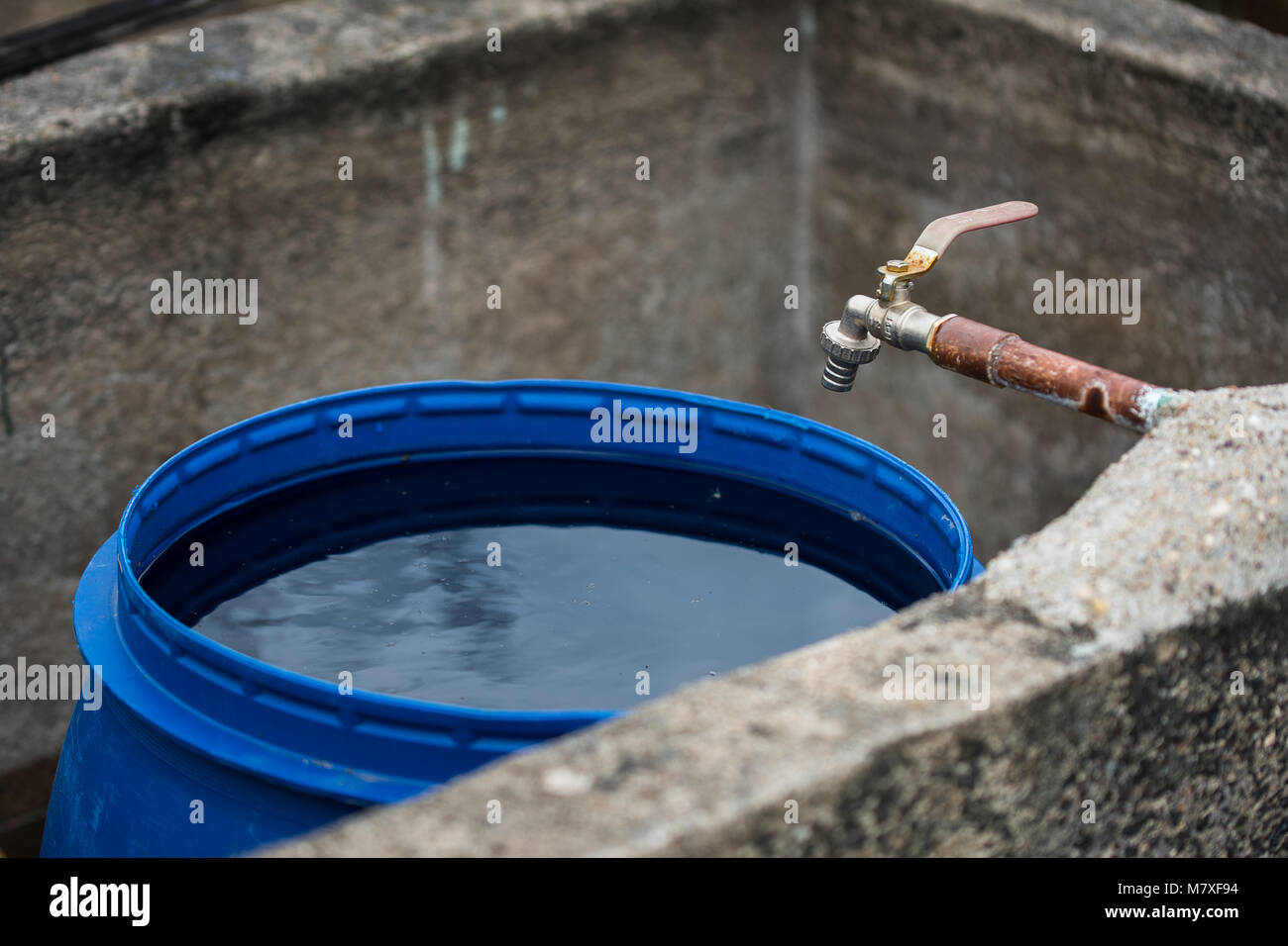 Blue plastic water barrel with rainwater standing near concrete wall ...