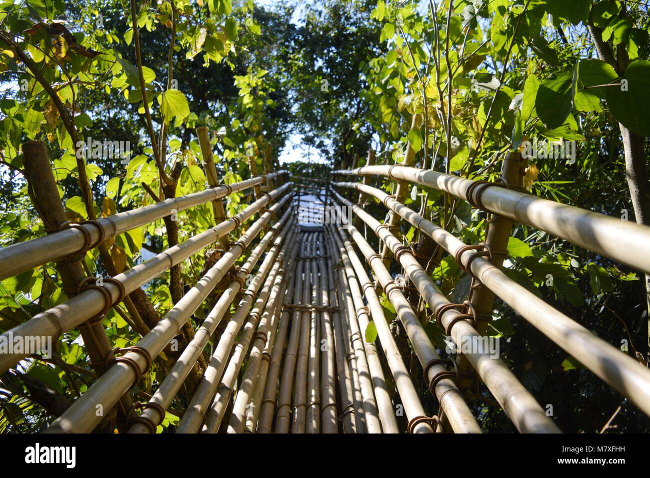 Indian scafolding hi-res stock photography and images - Alamy
