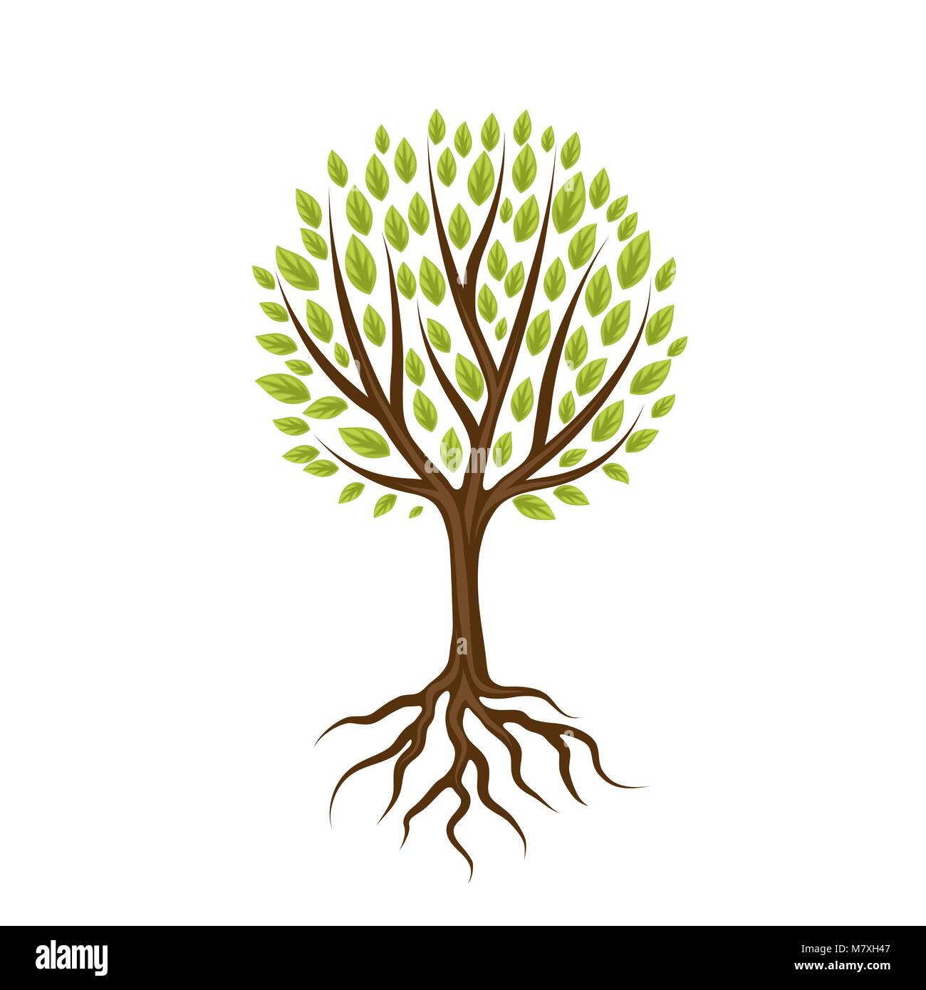 Abstract stylized tree with roots and leaves. Natural illustration ...