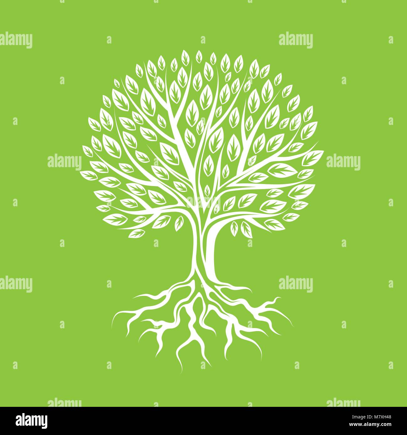 Abstract stylized tree with roots and leaves. Natural illustration ...