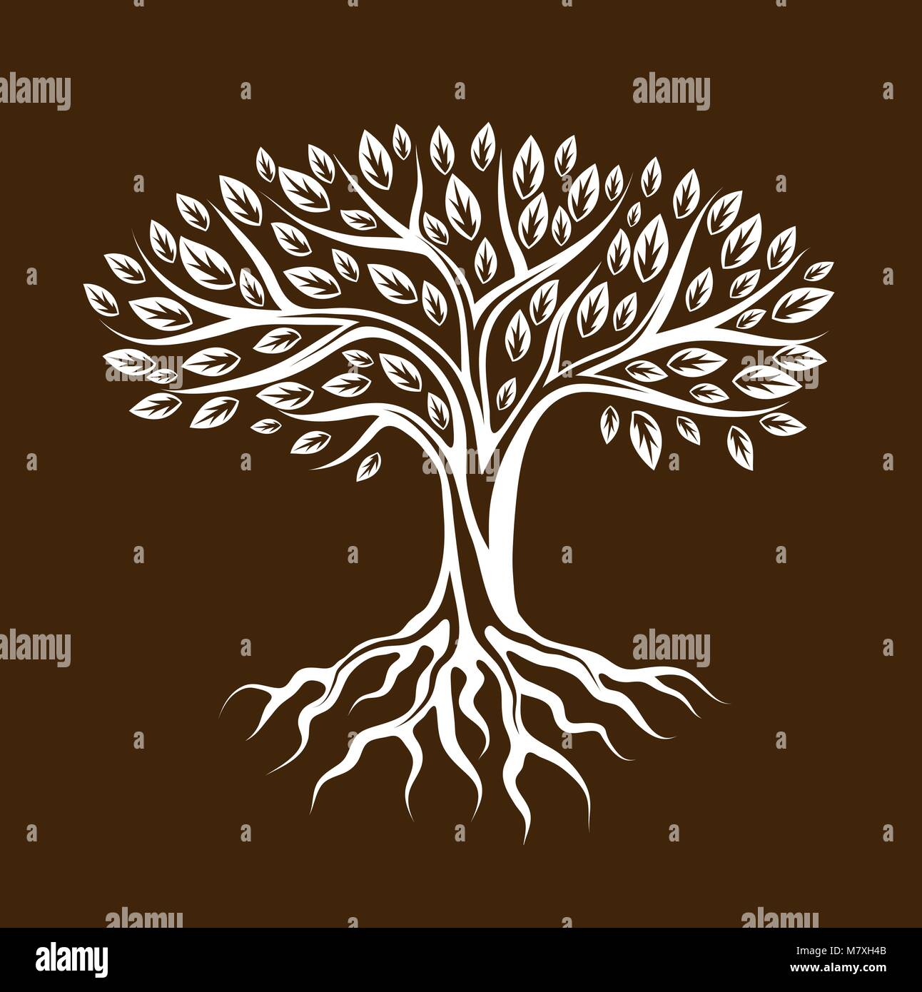 Tree roots background Stock Vector Images - Alamy