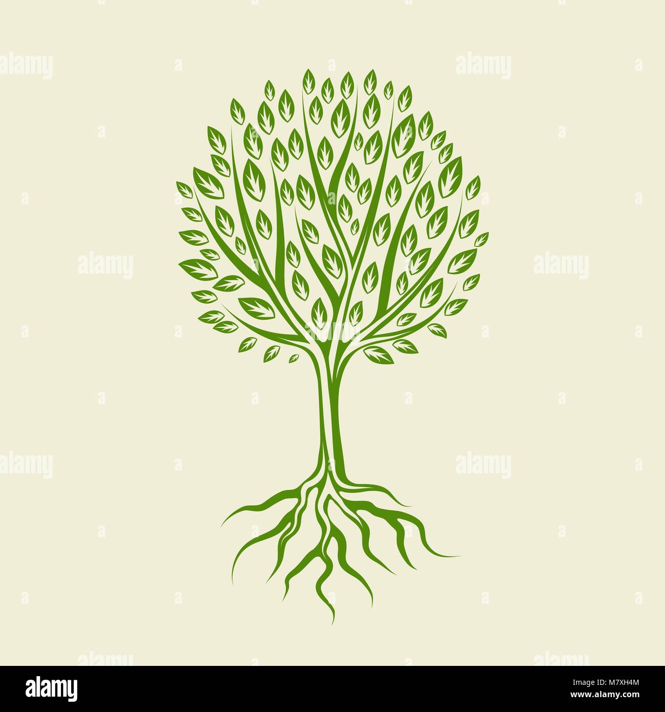 Abstract stylized tree with roots and leaves. Natural illustration ...