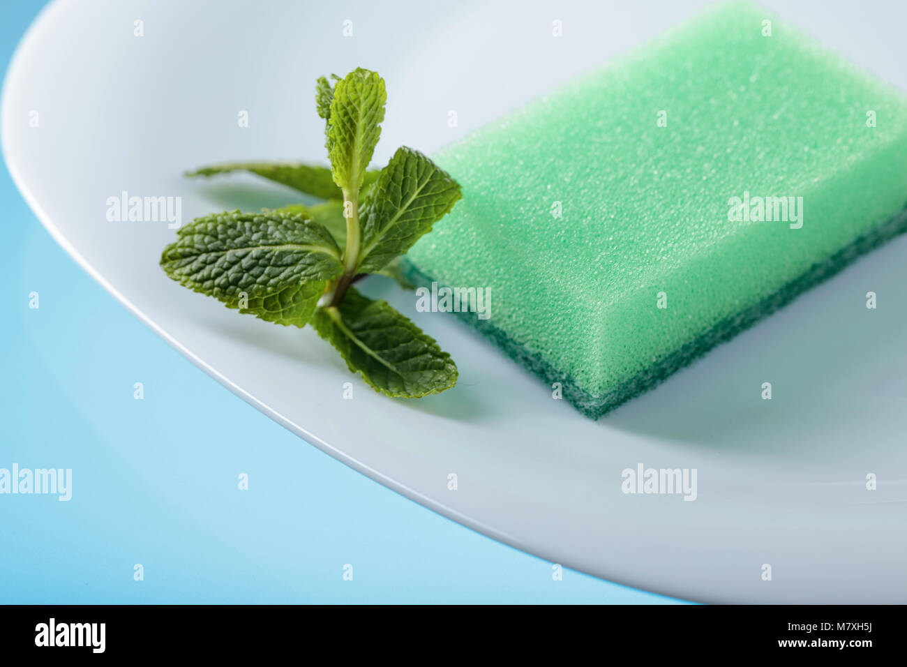 White plate and dish sponge . Mint branch . Conceptual image on the ...