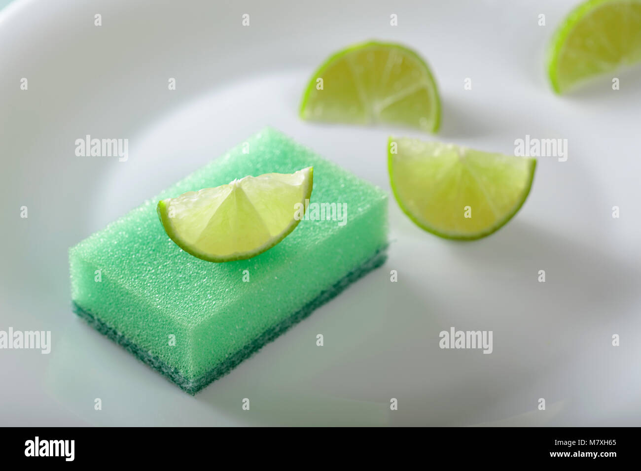 White plate and dish sponge . Lime slices . Conceptual image on the ...