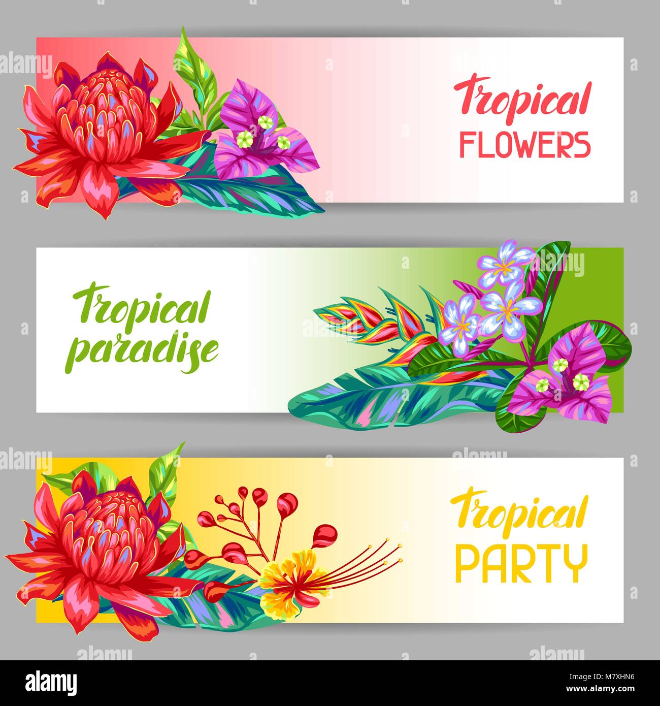 Banners with Thailand flowers. Tropical multicolor plants, leaves and ...