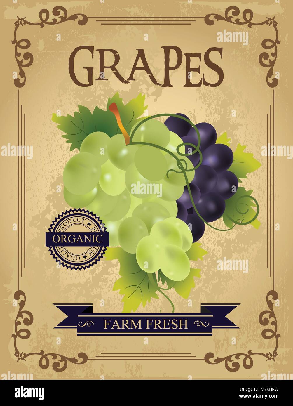 Fruit market retro poster Stock Vector Images - Alamy