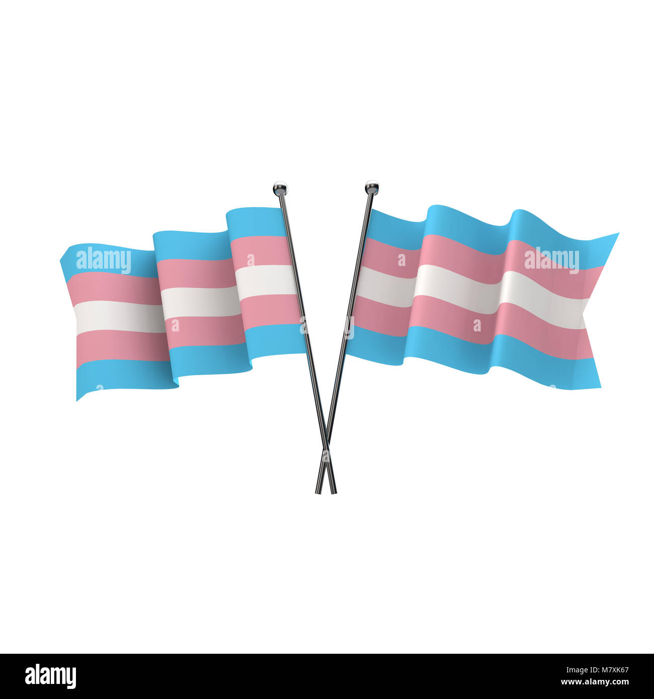 Transgender flags crossed isolated on a white background. 3D Rendering ...