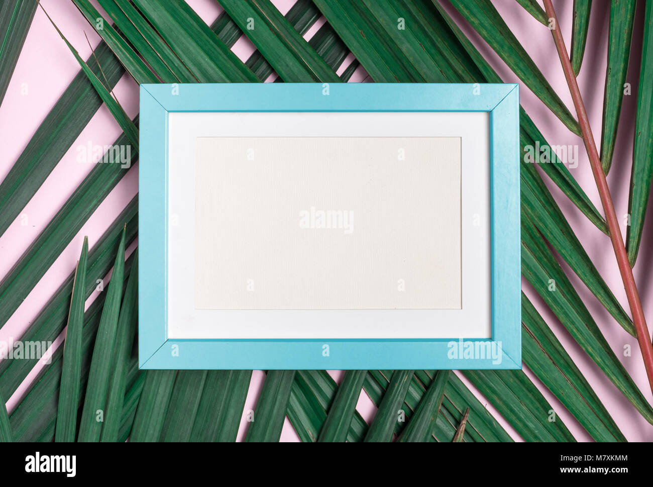 Top view blank blue pastel photo frame on green palm leaf on pastel ...