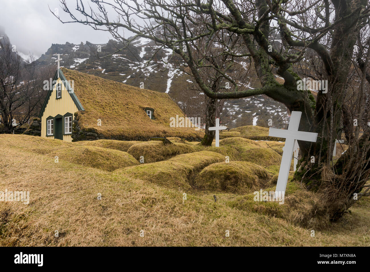 Traditional turf Icelandic Hofskirkja Church and cemetery in Hof ...