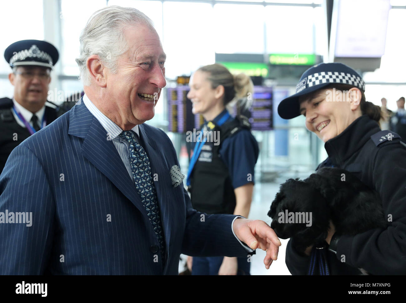 Prince charles spaniel hi-res stock photography and images - Alamy