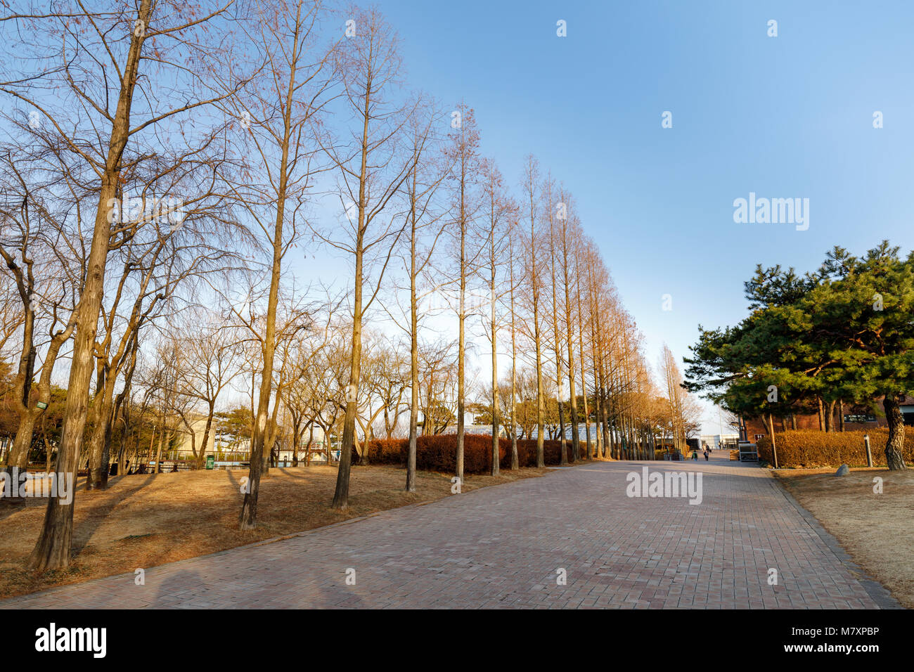 View of the Seonyudo Park in Seoul, South Korea. The park used to be a ...