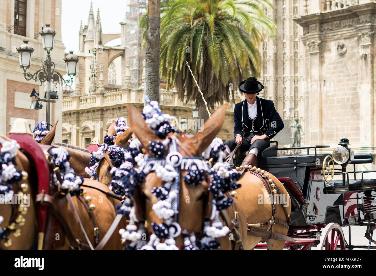 SEVILLE, SPAIN - MAY 2017: Portrait of a young coachman in black hat ...