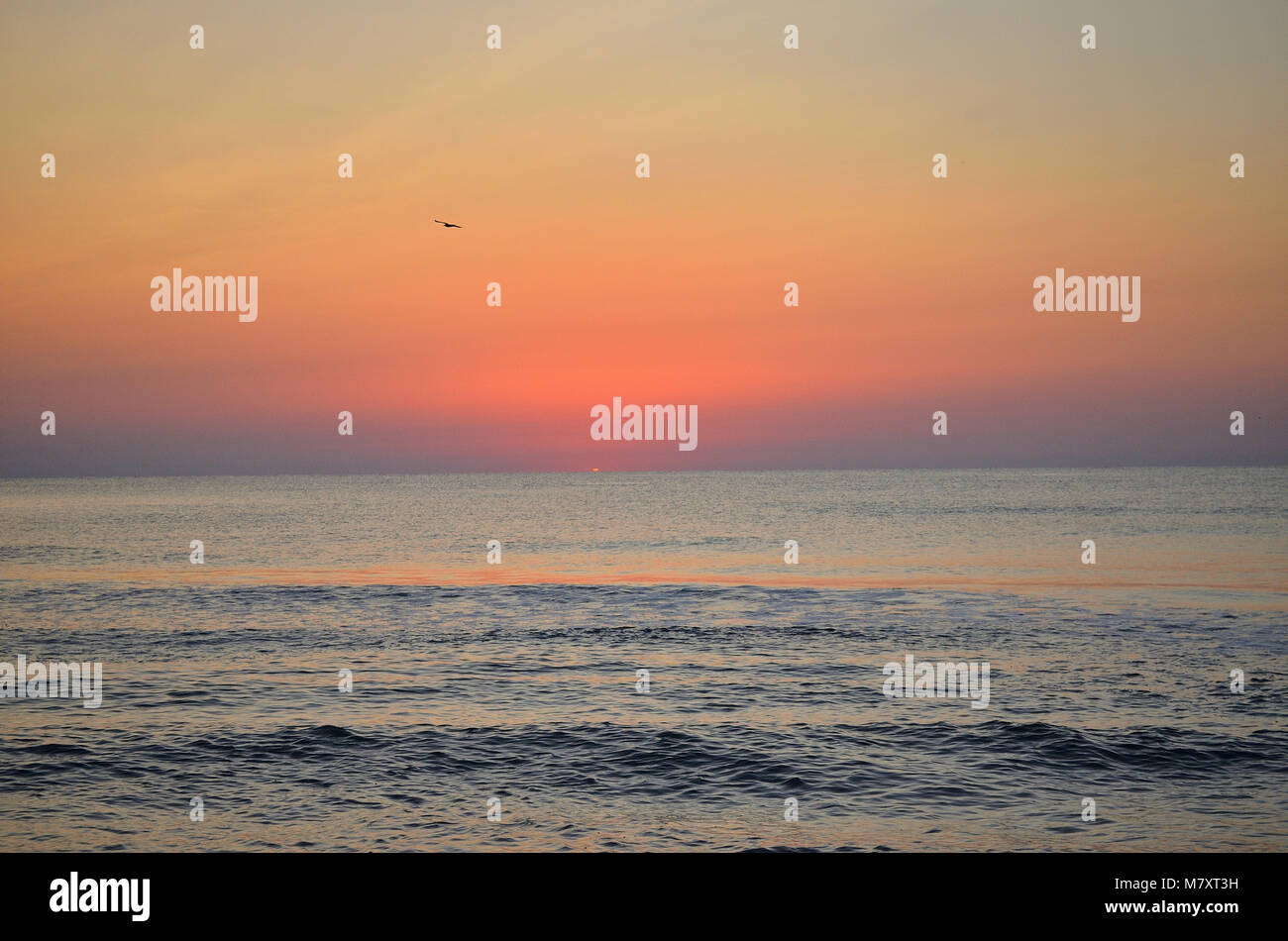 Sky before the sunrise Stock Photo - Alamy