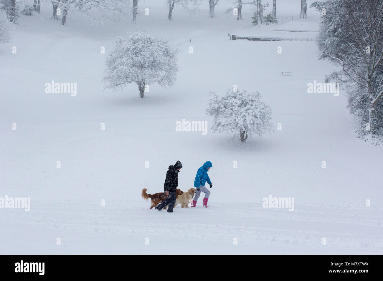 Two dog walkers in heavy snow in Redditch, Worcestershire, UK Stock ...