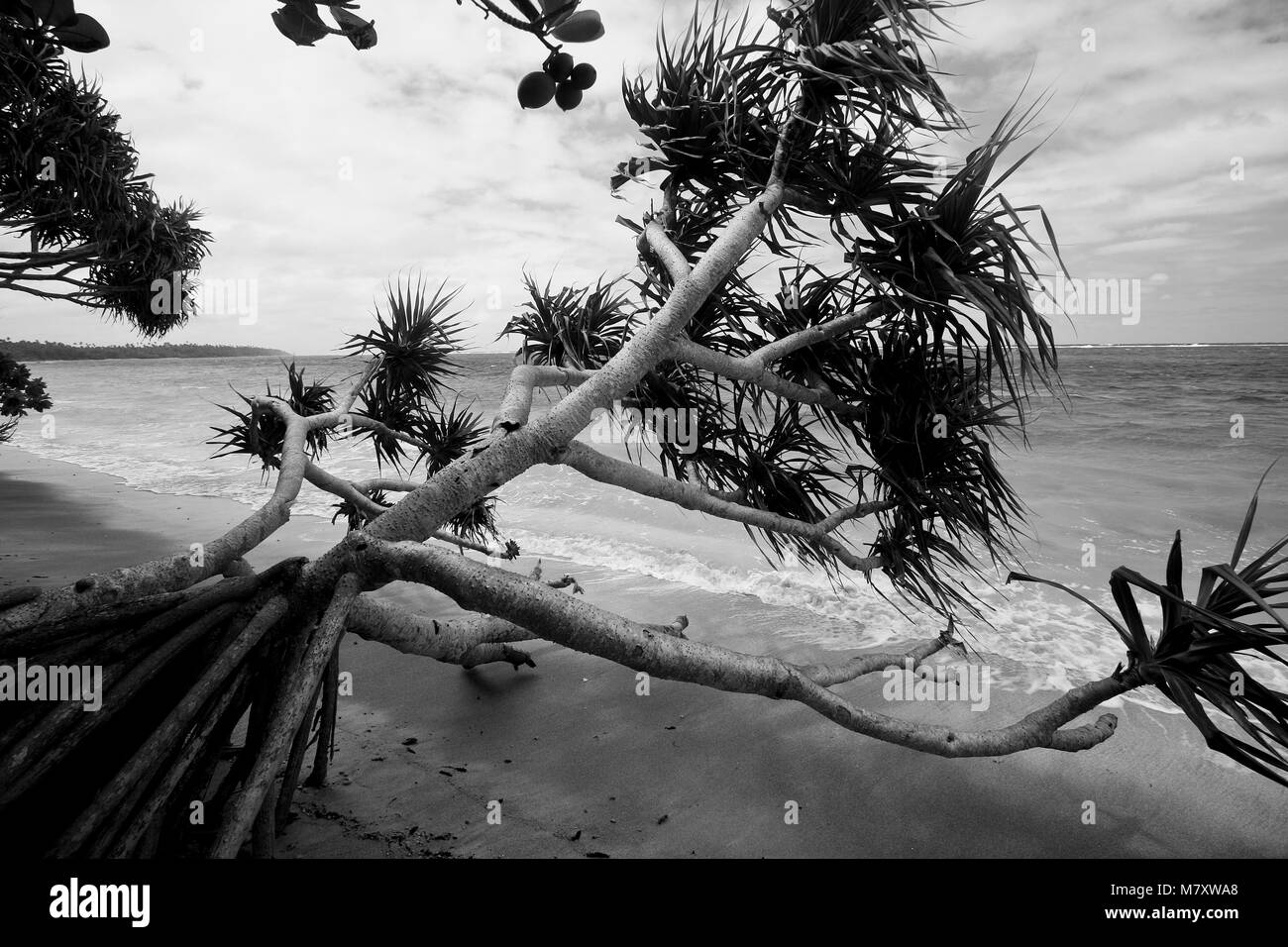 Lifuka island. ha´apai islands. Tonga. Polynesia Stock Photo - Alamy