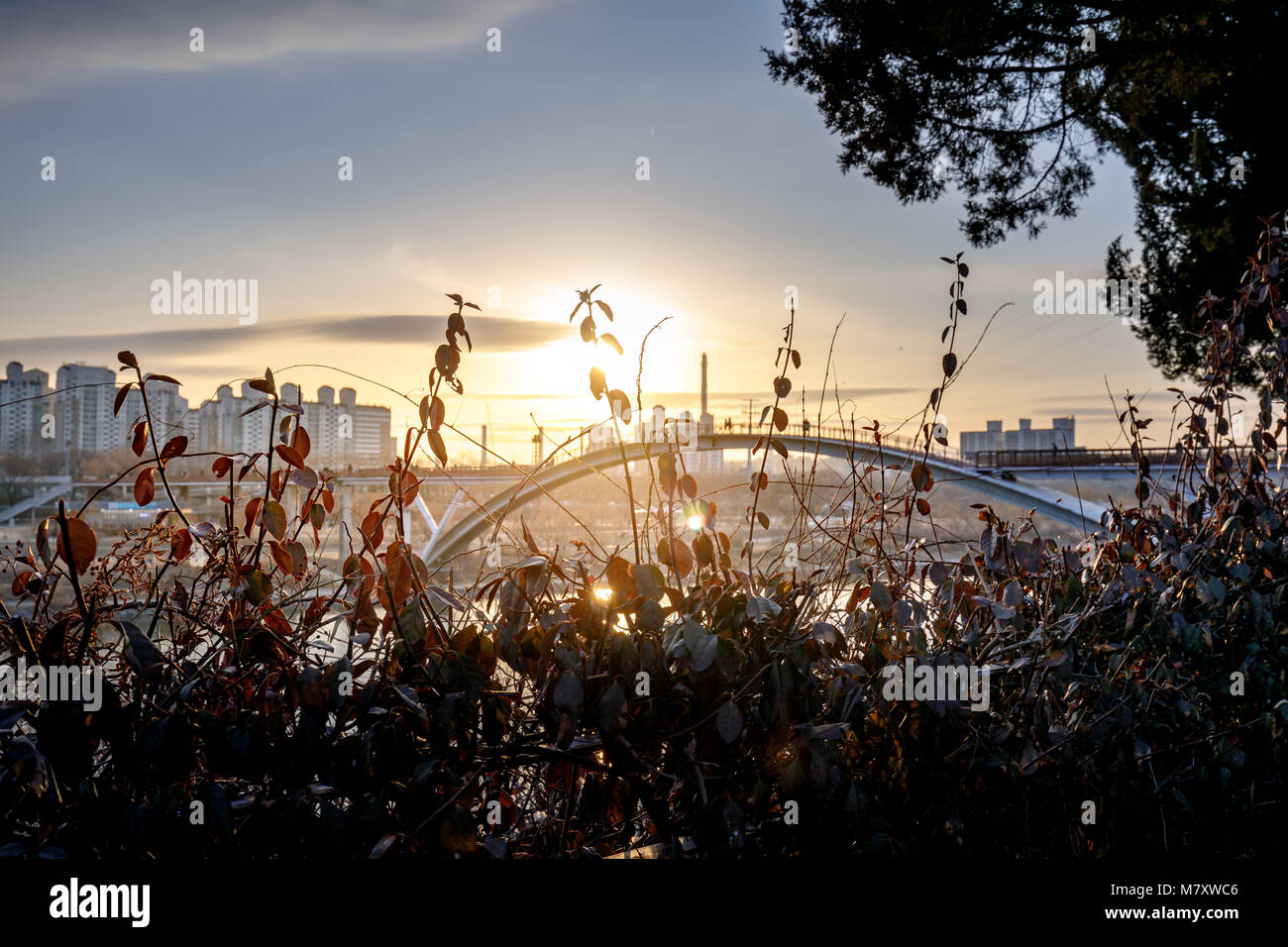 Bridge view of the Seonyudo Park with sunset in Seoul, South Korea ...