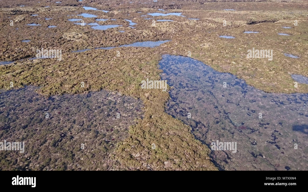 Low tide rock pools On Avencas Beach Parede Portugal Stock Photo - Alamy