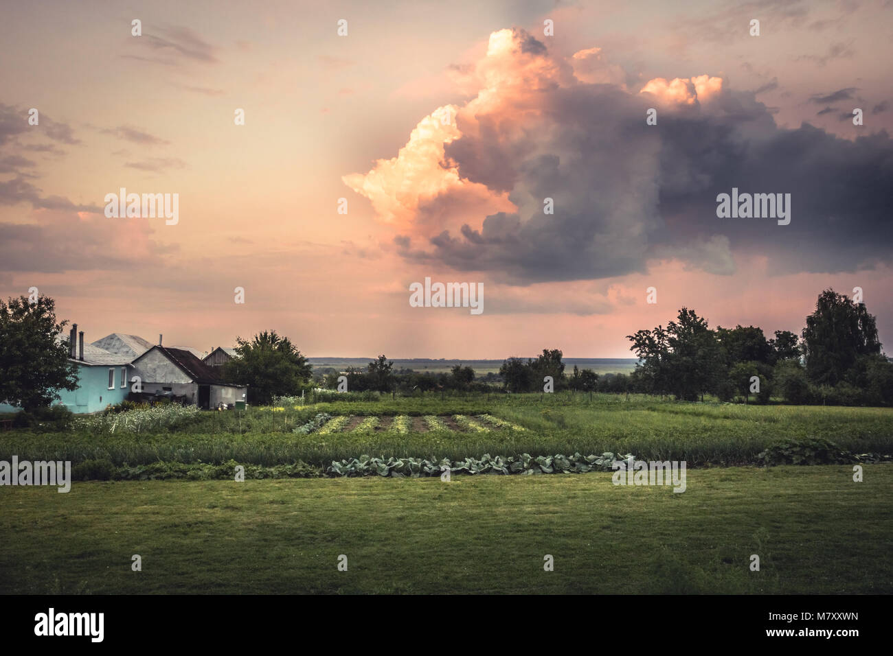 Agricultural farm countryside landscape with dramatic sunset sky and ...