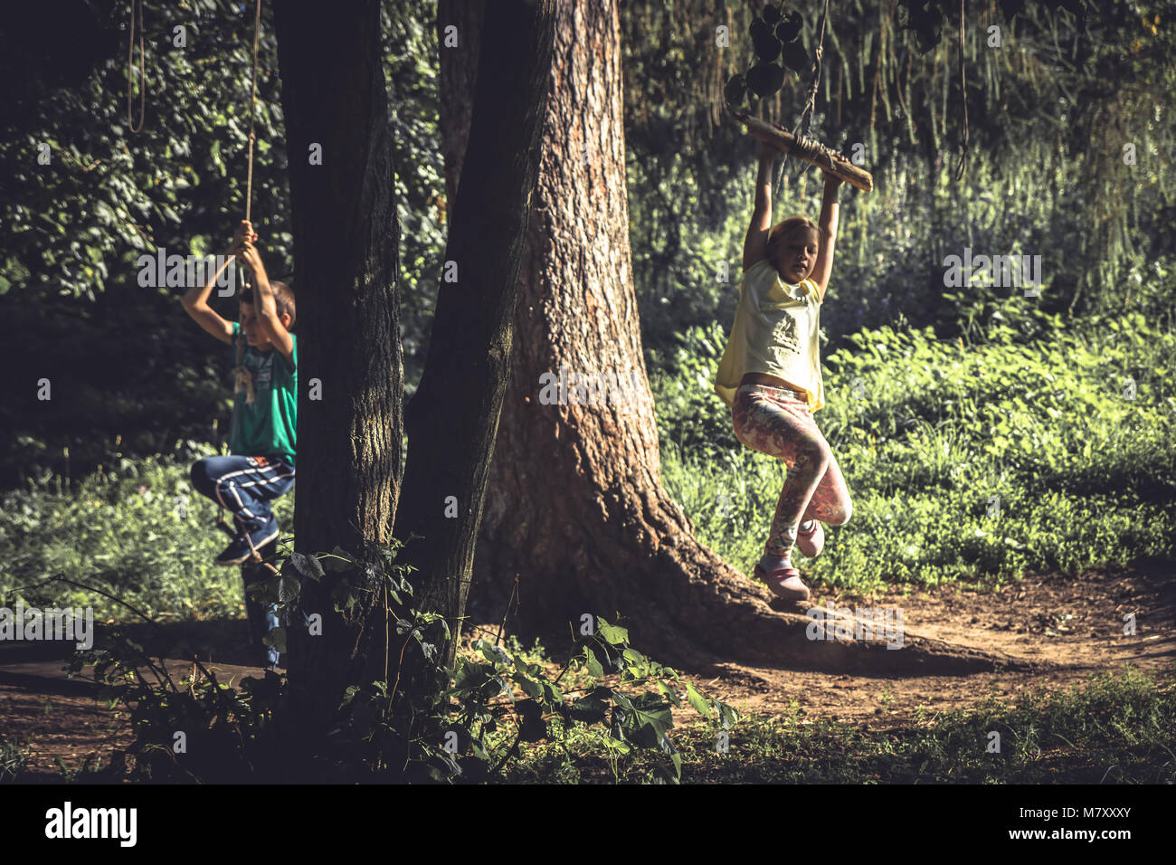 Cheerful children having fun outdoors woods during summer holidays in ...